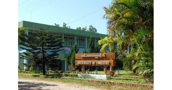 သစ်တောနှင့်ပတ်ဝန်းကျင်ဆိုင်ရာတက္ကသိုလ် ရေဆင်း ပထမနှစ်ဝင်ခွင့် Edge